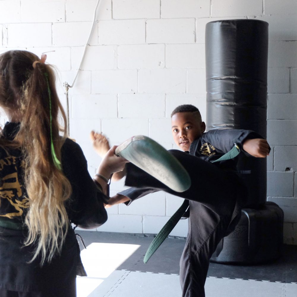 Galerie - Karaté Plus | Cours de karaté, kick boxing à Montréal-Nord / RDP